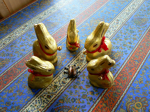 Ostergedichte für die frühlingshafte Osterkarte Ostergedichte für die frühlingshafte Osterkarte
